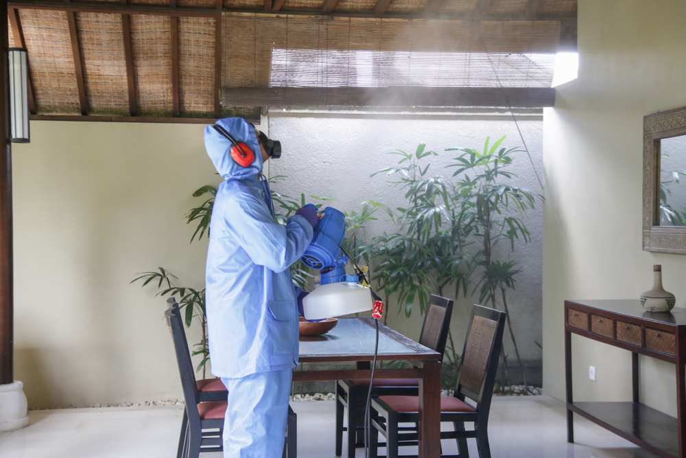 What is Deep Clean Disinfectant Fogging? - Blog - DP Skips